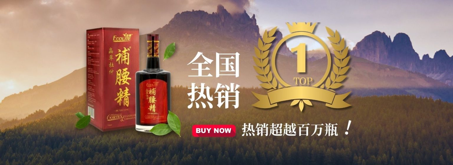 Ecolite Malaysia - Ecolite Malaysia